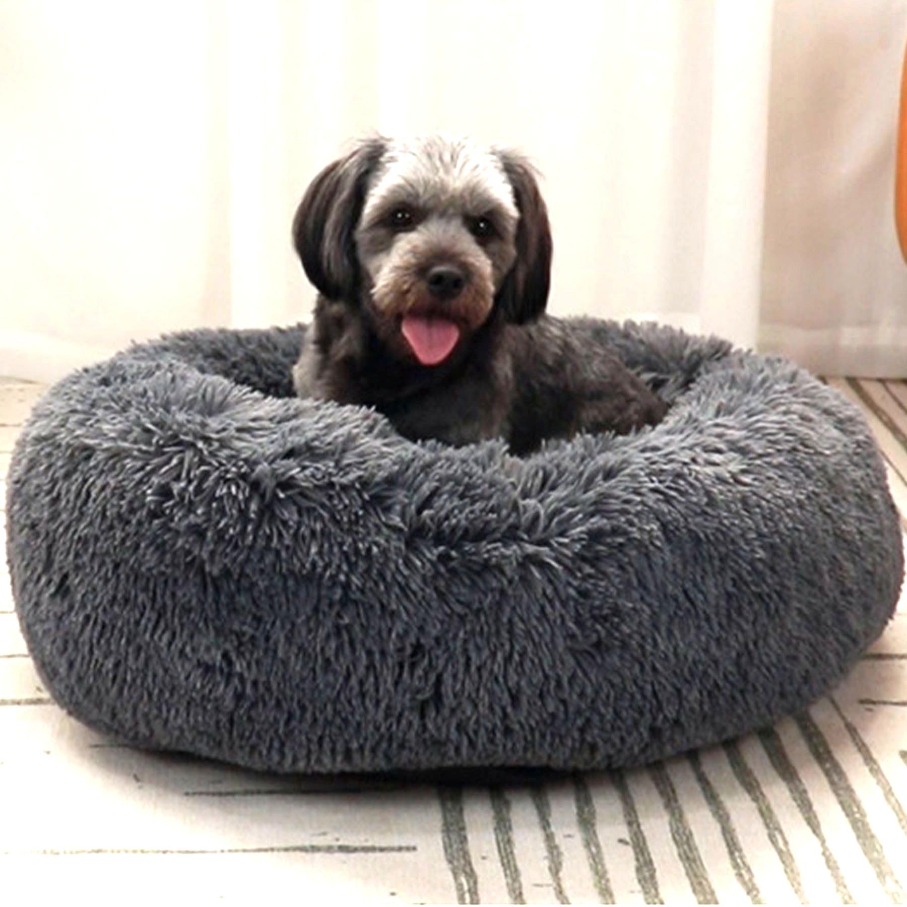 Cat Beds for Indoor Cats, Small Dog Bed Calming Plush Cat Bed Anti-Slip Round Fluffy Dog Bed Donut Dog Bed Soft Puppy Pet Bed Cat Beds Kitten Beds for Indoor Kittens (15.7", Dark Grey)