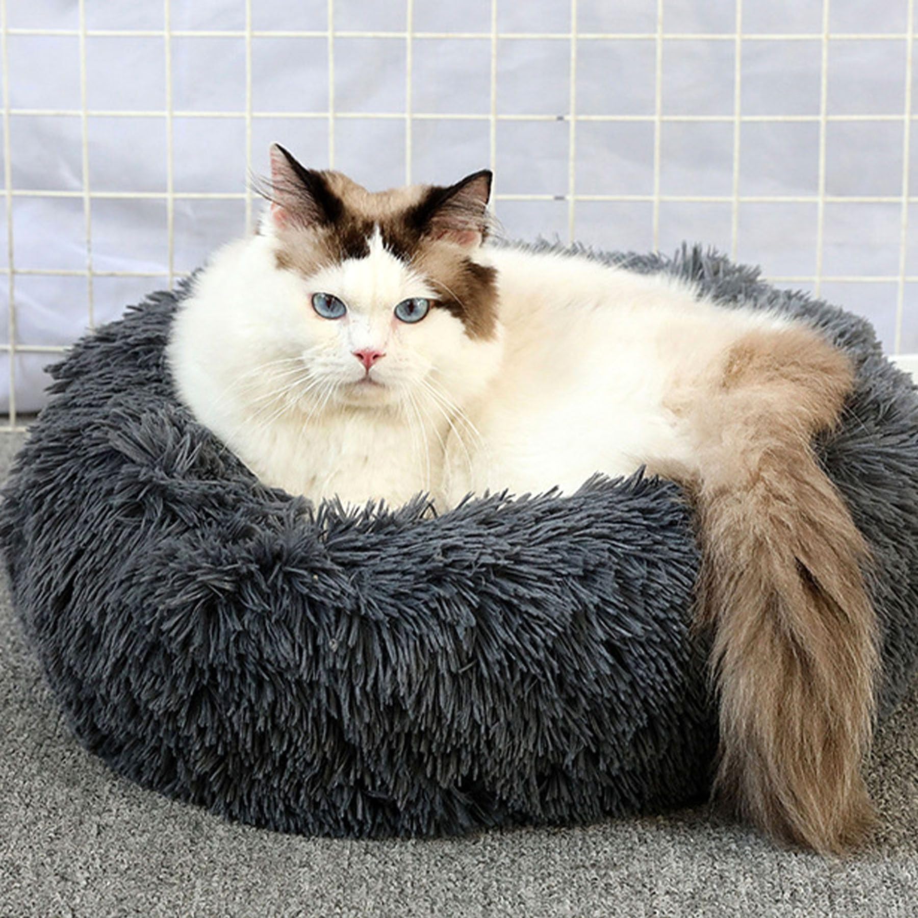 Cat Beds for Indoor Cats, Small Dog Bed Calming Plush Cat Bed Anti-Slip Round Fluffy Dog Bed Donut Dog Bed Soft Puppy Pet Bed Cat Beds Kitten Beds for Indoor Kittens (15.7", Dark Grey)