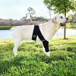 Generic Large Breathable Dog Knee Brace for Torn ACL Legs - Easy to Use, Neoprene Dog Leg Braces for Back Leg - ACL Brace for Dogs, Helps Reduce Pain and Heal Injuries