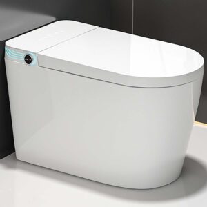 boiyttylle smart toilet bidet tank built in with digital display, heated seat and auto open/close lid heated bidet seat system for bathrooms