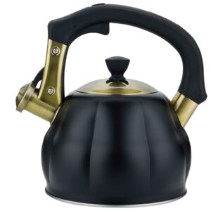 stainless steel tea kettle for stove top teakettles stovetop whistling with heat proof ergonomic handle 2.5 quart