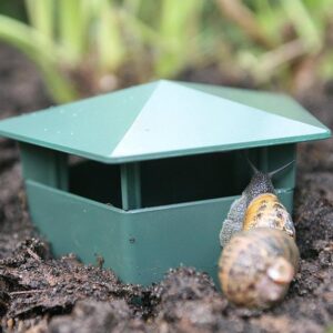 Slug Plastic Box,Slug 𝐓𝐫𝐚𝐩𝐬 for Garden, Beer Slug & Snail 𝐓𝐫𝐚𝐩𝐬 Friendly to Catch Snails 𝐂𝐚𝐭𝐜𝐡𝐞𝐫,Reusable Plastic Slug Beer 𝐓𝐫𝐚𝐩𝐬 for Garden,Snail 𝐓𝐫𝐚𝐩𝐩𝐞𝐫 Slug House 8pcs