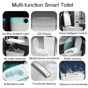 Boiyttylle Smart Toilet Bidet Tank Built in with Digital Display, Heated Seat And Auto Open/Close Lid Heated Bidet Seat System for Bathrooms