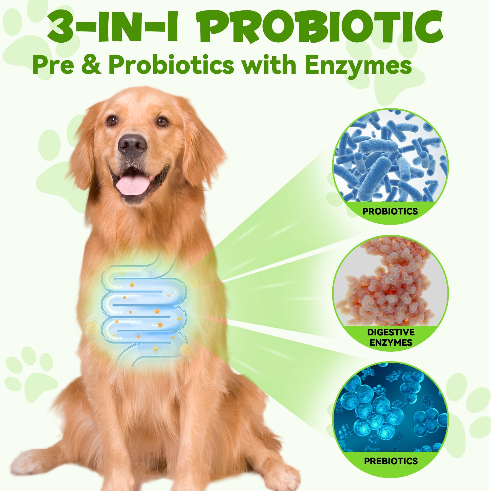 Probiotics for Dogs, 3 in 1 Dog Probiotic and Digestive Enzymes for Pet, Supports Gut Health, Itchy Skin, Allergies, Immunity, Liquid Probiotics for for All Ages and Breeds Dogs