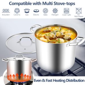 E-far 12 Quart Cooking Stock Pot, Large Stainless Steel Pot for Canning Simmering Stewing, Heavy Duty Cookware with Tri-ply Base for Induction Gas Stoves, Soup Pot with Glass Lid, Dishwasher Safe