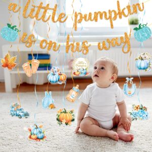 Little Pumpkin Baby Shower Decorations for Boy, Fall Blue Gender Reveal Decor, A Little Pumpkin Is on His Way Baby Shower Banner and Pumpkin Hanging Swirls