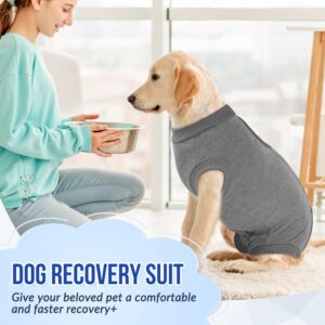 SlowTon Dog Recovery Suit - Surgery Recovery Suit for Female Male Dogs, Dog Onesie After Spay Abdominal Wounds, E-Collar Cone Alternative Prevent Licking Pet Surgical Snugly Suit(Grey,XXL)