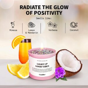 Light Up Good Vibes Candle, Scented Phthalate-Free Soy Candles with 60+ Hours Burn Time, Vegan Cruelty-Free Pink Candle for Any Occasion, Candles for Women & Men - Candier