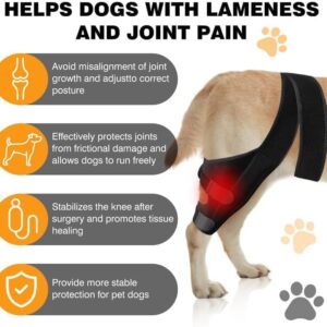 JUANWAN Dog Knee Brace Leg Braces - Dog Canine Knee Stifle Brace Wrap Dog Knee Brace for Torn ACL Hind Leg Joint Pain Muscle Sore Pet Brace Reduces Pain and Inflammation (M)