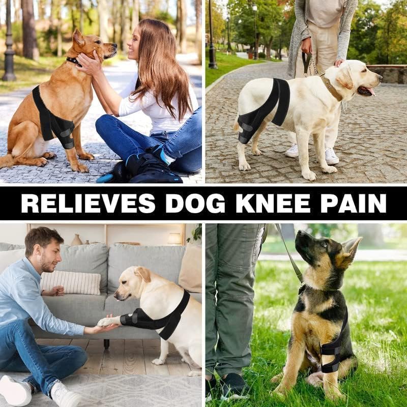 JUANWAN Dog Knee Brace Leg Braces - Dog Canine Knee Stifle Brace Wrap Dog Knee Brace for Torn ACL Hind Leg Joint Pain Muscle Sore Pet Brace Reduces Pain and Inflammation (M)