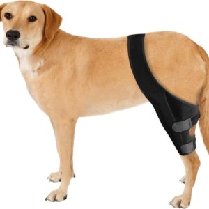 JUANWAN Dog Knee Brace Leg Braces - Dog Canine Knee Stifle Brace Wrap Dog Knee Brace for Torn ACL Hind Leg Joint Pain Muscle Sore Pet Brace Reduces Pain and Inflammation (M)