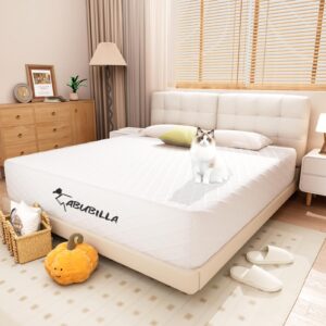 10 inch queen mattress,queen size mattress,guest room mattress, memory foam mattress,comfort level of this mattress is extraordinary,improved sciaticaa,certipur-us certified【new version】