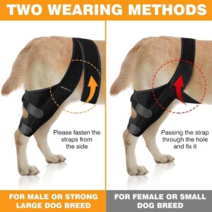 JUANWAN Dog Knee Brace Leg Braces - Dog Canine Knee Stifle Brace Wrap Dog Knee Brace for Torn ACL Hind Leg Joint Pain Muscle Sore Pet Brace Reduces Pain and Inflammation (M)