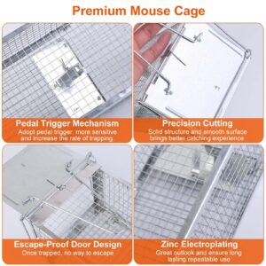 Humane Rat Trap, Mouse Traps Work for Indoor and Outdoor, 16x6x4 Inch Small Rodent Chipmunk Squirrel Trap and Other Live Animal Cage Catch and Release for Kitchen Yard Garage