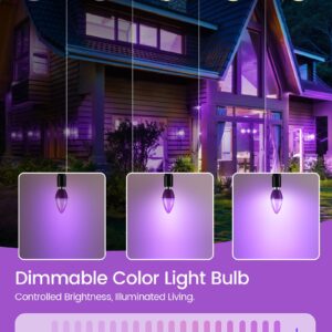 GOEBLESON Purple E12 LED Light Bulbs, C35 Dimmable Candelabra Bulbs, 5W (60W Equivalent) Chandelier Bulb, Candle Light Bulb for Halloween, Christmas, Party Decoration, Holiday, 6 Pack Z1C3P605