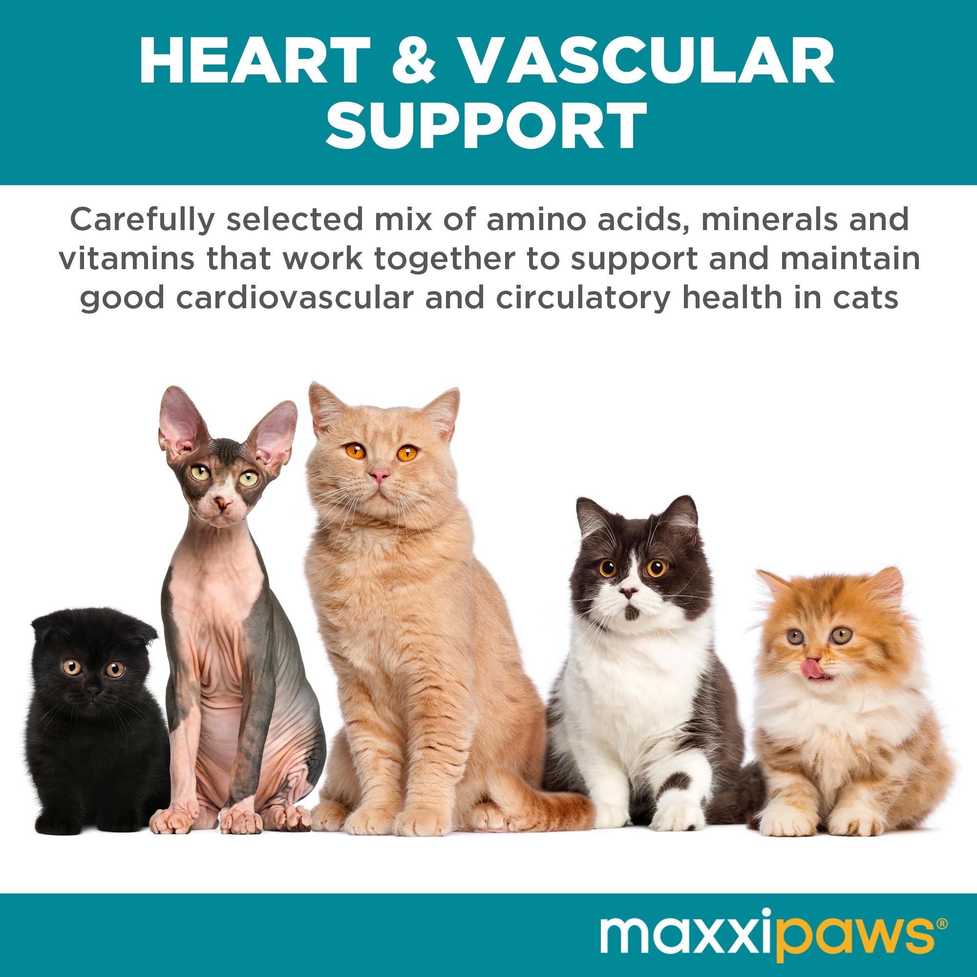 maxxipaws maxxicardio Heart & Cardiovascular Powder Supplement for Cats, 3.2oz