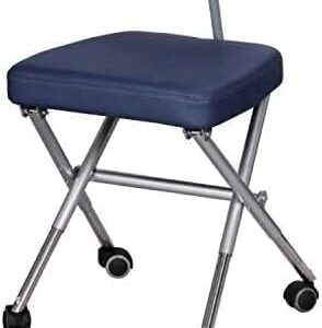 REEHUT Portable Patient Chair with Tray with Integrated LED Exam Light with Dentist Stool + Nylon Bag