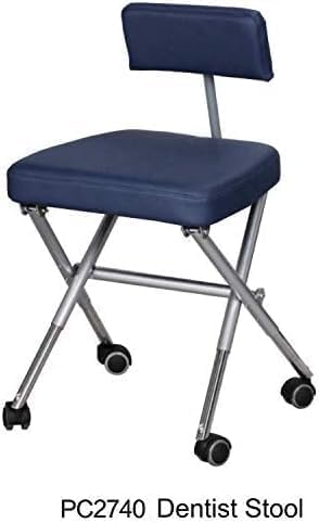 REEHUT Portable Patient Chair with Tray with Integrated LED Exam Light with Dentist Stool + Nylon Bag