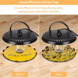 Protecker Flea Traps for Inside Your Home 2 Pack,Flea Treatment for House,Flea Killer Pest Traps for House Indoor,Reusable Flea Trap with Light Refills and Sticky Pads,Sticky Electronic Flea Trap