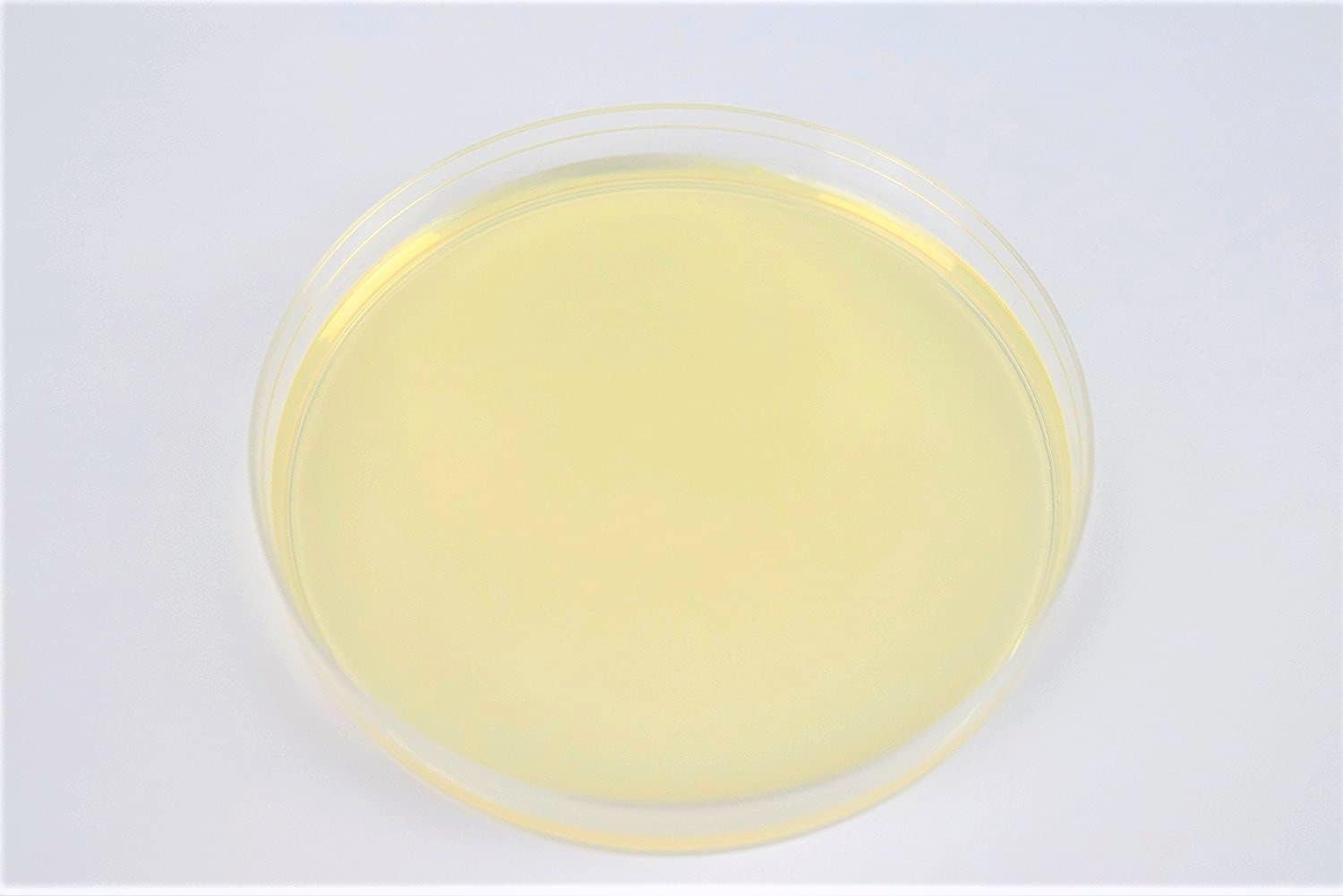 Sabouraud Dextrose Agar-II (SDA), (10-Pack), Pre-Poured, 15x100mm Petri Plates, For the Cultivation, Isolation and Identification of Yeasts and Molds.