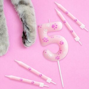 Dog Paw Birthday Candles Numbers 3 Candle with 12 Pieces Long Thin Candles, Dog Paw Print Birthday Party Decorations,Pink Birthday Candles Cake Toppers for Boy Girl Birthday Party Anniversary Supplies