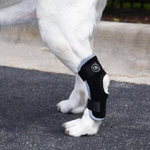 dog leg braces for back leg injuries - customizable - lightweight, secure dog ankle brace back leg for sprains, torn ligaments, and post-op - promotes faster recovery - reduce pain (small, right)