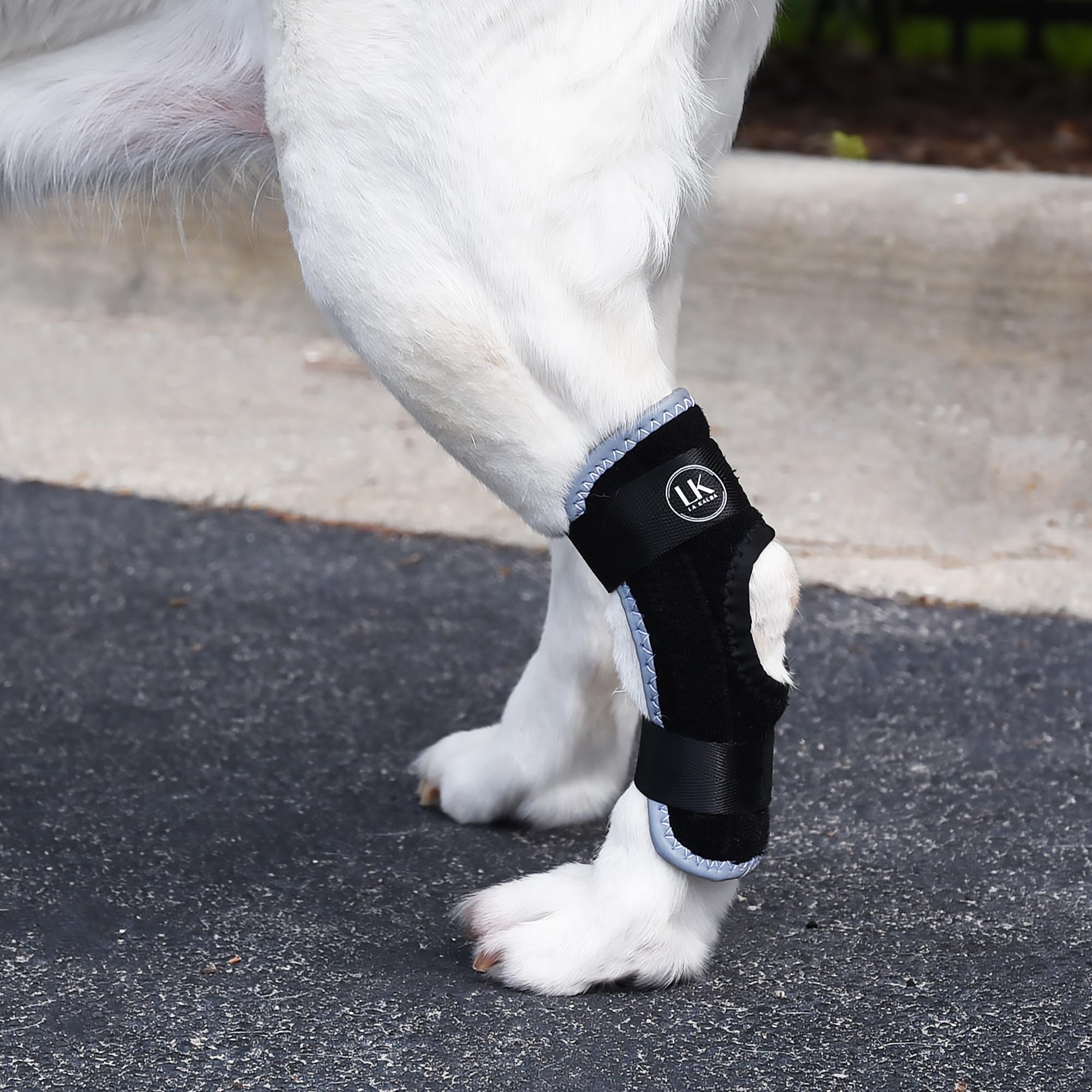 Dog leg Braces for back leg Injuries - Customizable - Lightweight, Secure Dog Ankle Brace back leg for Sprains, Torn Ligaments, and Post-Op - Promotes Faster Recovery - Reduce Pain (Small, Right)