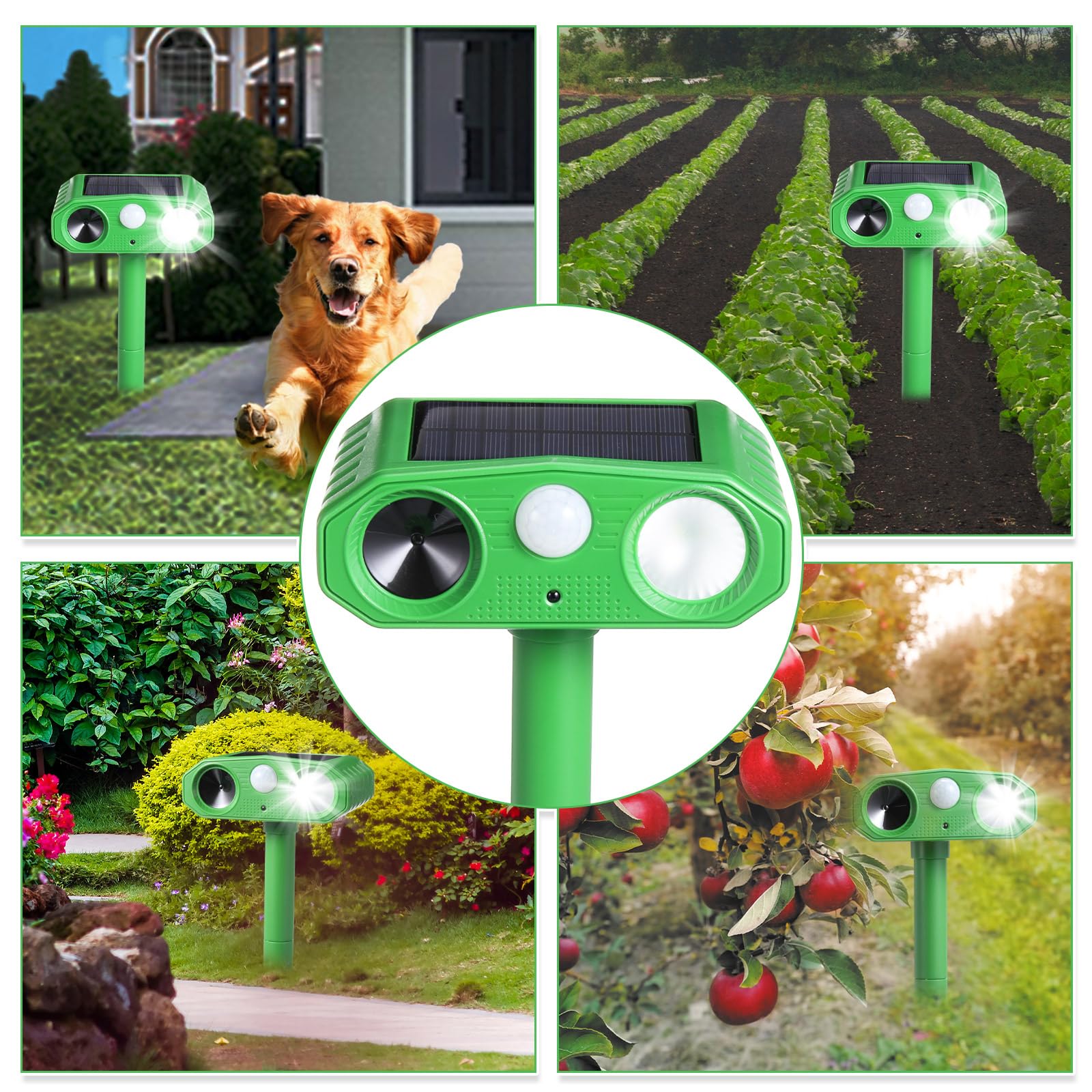 Qualirey 4 Pcs Ultrasonic Animal Repellent Solar Animal Repeller Outdoor Waterproof Deterrent Scarer with Motion Sensor for Squirrel Raccoon Skunk Rabbit Rats Deer Bird