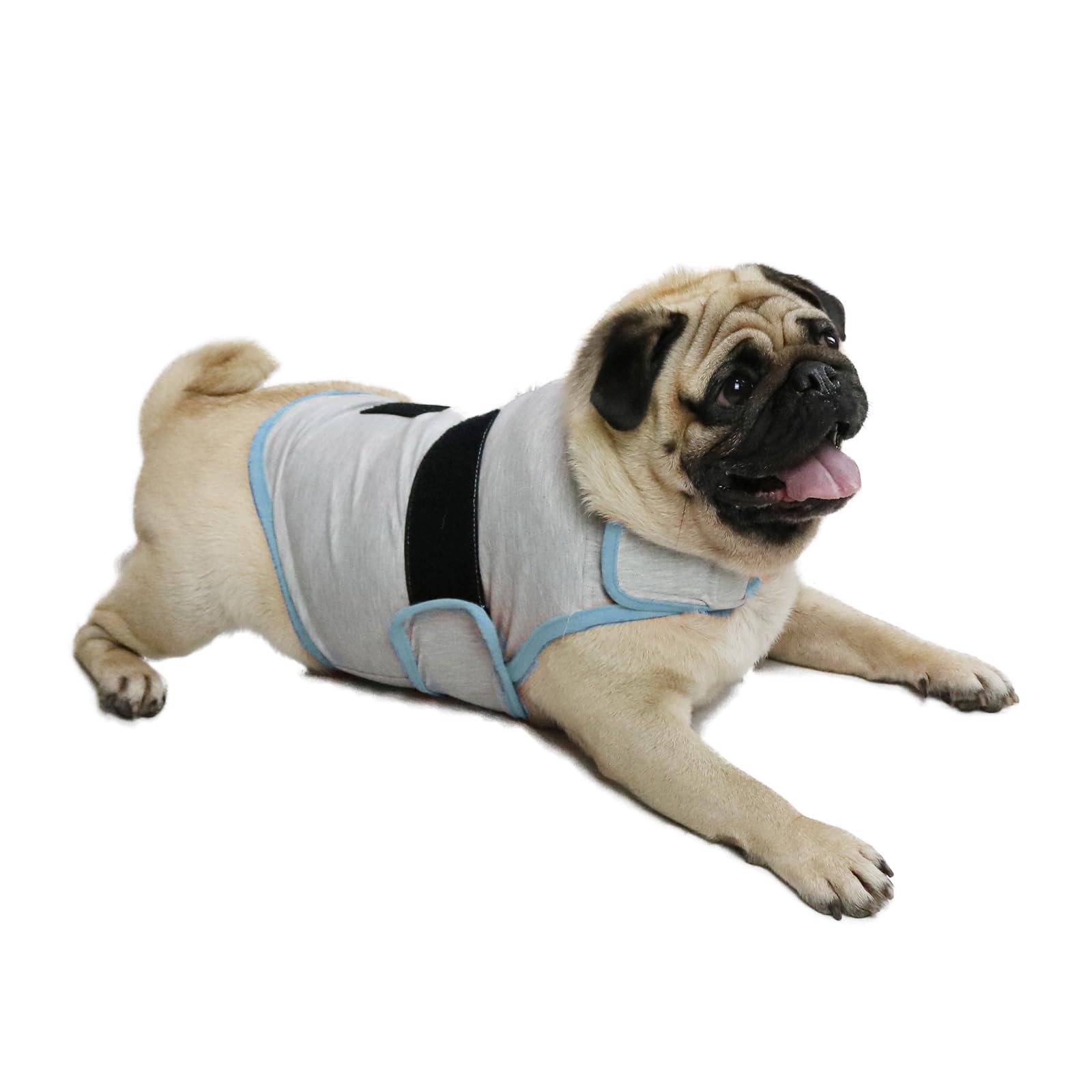 balancepaw Dog Anxiety Vest, Comfort Dog Anxiety Relief Coat, Breathable Dog Calming Vest for Thunderstorm, Travel, Fireworks, Vet Visits（Dog Calming Vest Light Grey Blue M）