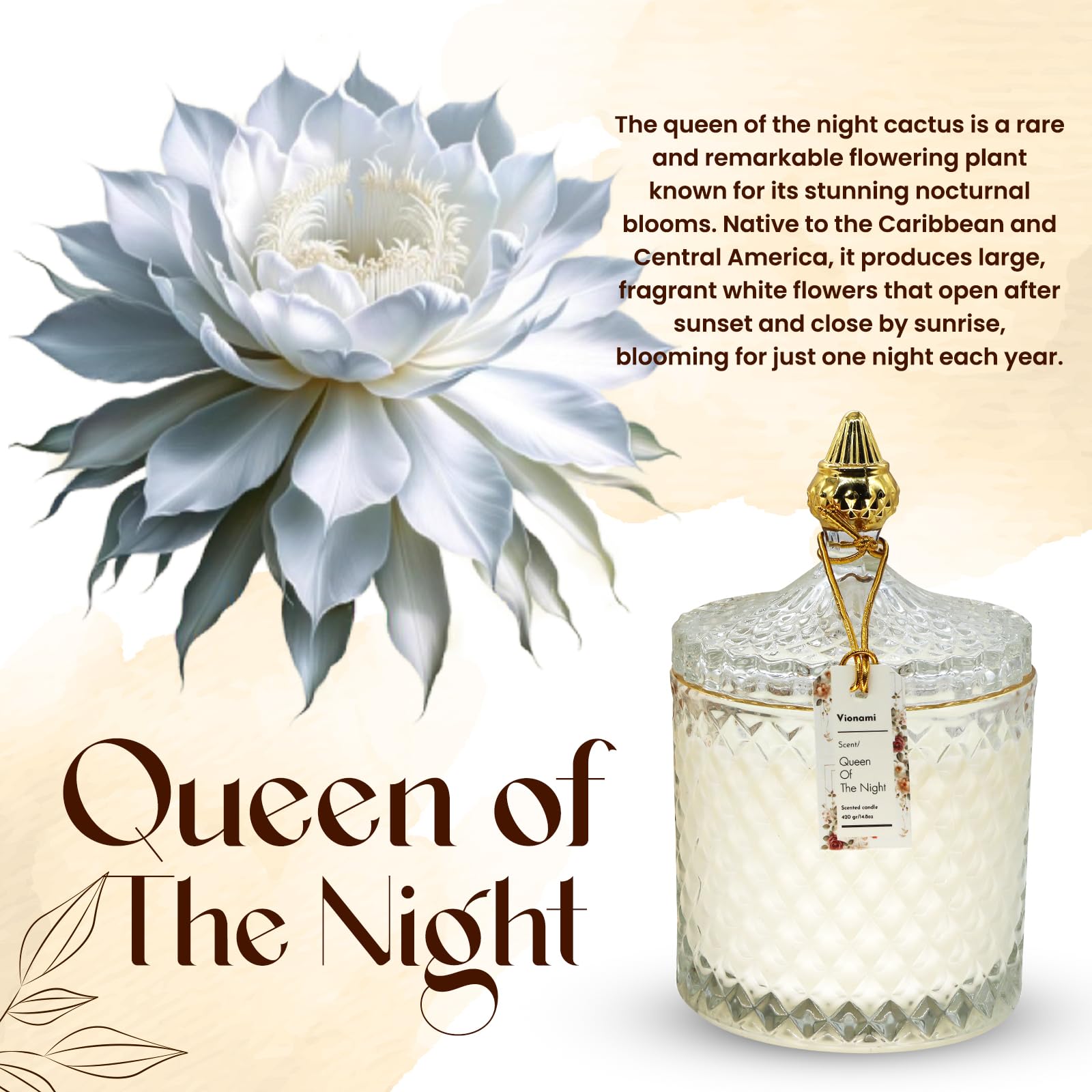 VIONAMI Queen of The Night Scented Candles – Luxury Candle Gift for Woman with Rare Flower Scent, Long Burning Natural Soy Wax Candle for Home, Gift-Boxed Large Decorative Glass Jar Candle 14.8 oz