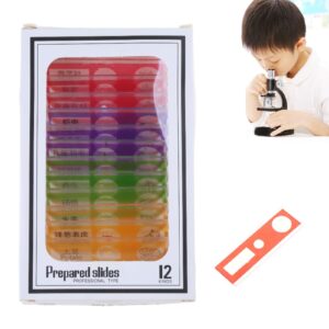 MEELYHOME 12 Kinds Prepared Microscope Slides Of Animals Flowers Insects Sample Specimens Biological Microscope Please Allow 1-3mm Error Due To Manual Measurement. Pls Make Sure You Do Not Mind