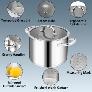 Rorence 8 QT Stainless Steel Stockpot,Large Stock pot with Clear Transparent Tempered Glass Lid for Soup Pasta Vegetable, Induction Cooking Pot for All Stoves, Oven & Dishwasher Safe