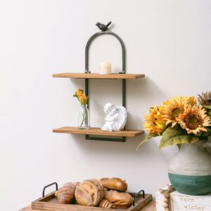 Synovana 2 Tier Decorative Industrial Floating Shelf Wall Storage Shelves Bird Decor Wall Mounted Shelf Foldable Hanging Metal Shelves Rack for Living Room Bedroom Bathroom