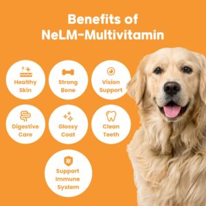 Mepet Multivitamin for Dogs - Mouth Dissolving Strips, Dog Vitamins and Supplements - for Healthy Skin, Coat, Hip & Joint Support, Immune & Digestive System - Pet Health Supplies - Beef, 30 Strips