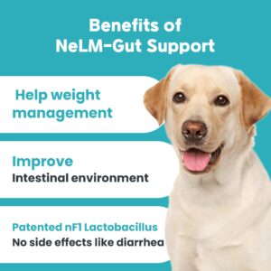 Mepet Gut Support for Dogs - Mouth Dissolving Strips, Gut and Digestive Health with nF1 Lactobacillus, Probiotic - Anti Diarrhea, Boost Immune System - Allergens and Additives Free - Beef, 30 Strips