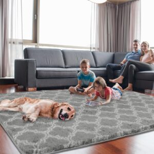 Puremy Area Rug 3x4 Ft, Ultra Soft Rugs for Living Room, Small Plush Indoor Carpet for Bedroom, Kids Room, Playroom, Home Decor, Geometric, Light Grey/White