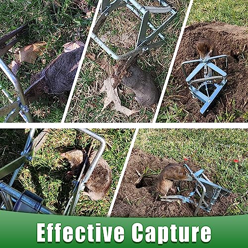 2 Pack Mole Traps That Kill Best, Scissor Mole Traps for Lawns Vole Traps Outdoor Use, Mole Trap Easy to Set Galvanized Steel Reusable Quick Capture Gopher