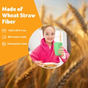 PYRMONT Wheat Straw Cups 16 OZ Alternative to Plastic Cups Set of 6,Plastic Cups Reusable Tumblers Cups Kids Cups Dishwasher Safe,Unbreakable Drinking Cups,Plastic Drinking Cups for Kitchen,Camping