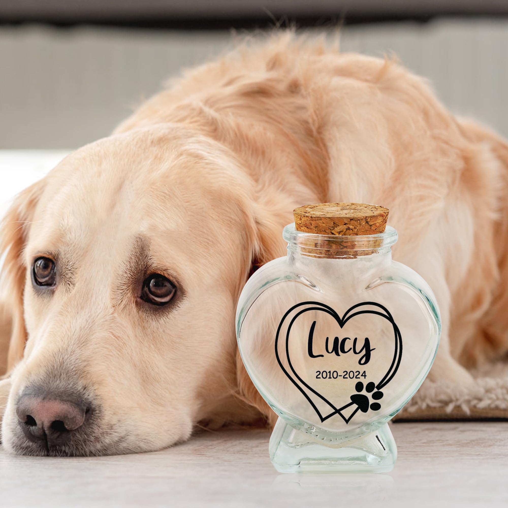 Personalized Pet Fur Memorial Jar, Memorial Bottle for Pet Hair, Personalized Pet Hair Keepsake Bottle, Pet Memorial Urn Glass Bottles, Dog Cat Hair Ashes Storage Box, Sympathy Gift for Pet Lover