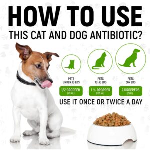 Cat Antibiotic | Natural Antibiotics for Dogs | Antibiotic for Cats | Dog Antibiotic | Natural Antibiotics for Cats | Chicken Flavor | 2 oz