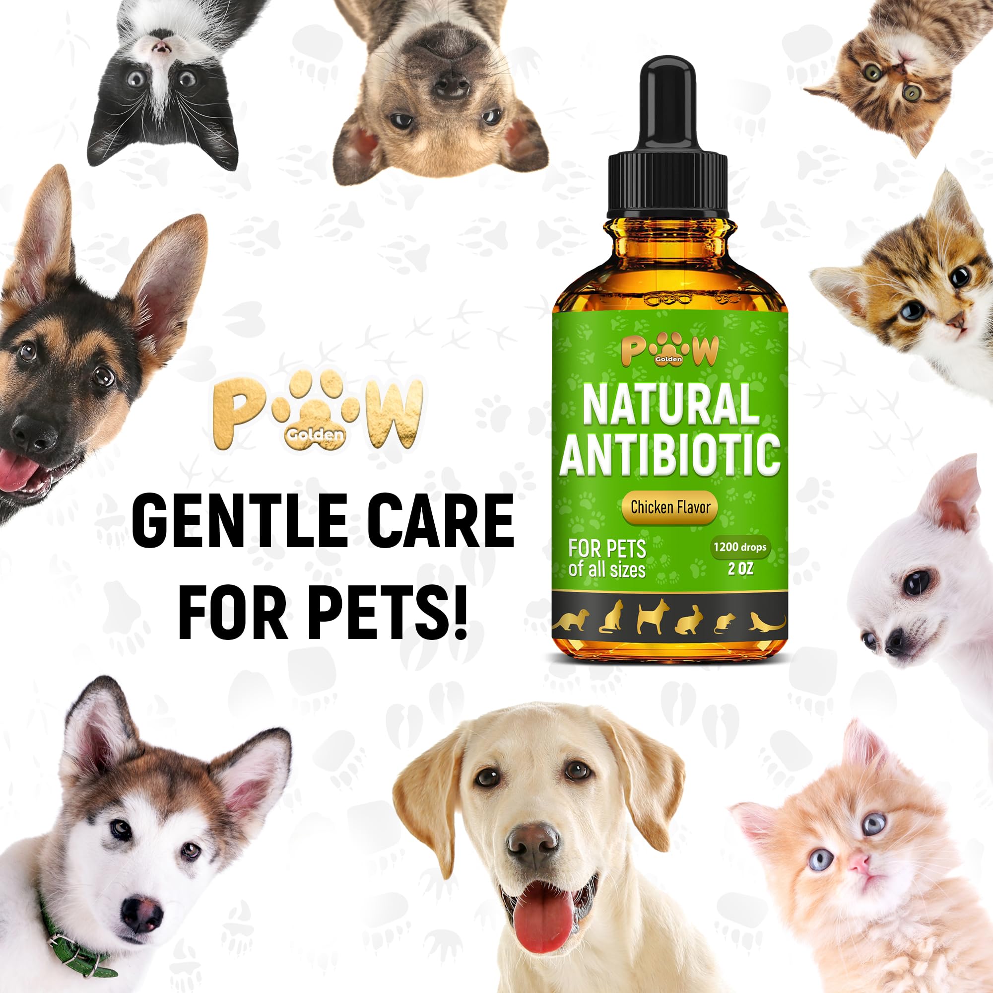 Cat Antibiotic | Natural Antibiotics for Dogs | Antibiotic for Cats | Dog Antibiotic | Natural Antibiotics for Cats | Chicken Flavor | 2 oz