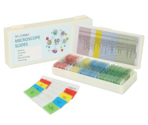 microscope slides for kids ages 8+, 60 prepared microscope slides with specimens of animals plants microbe cells and histology anatomy, customized prepared slides for 3rd-8th grade kids students