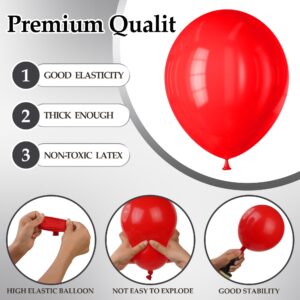 DECOCKRAT Assorted Latex Balloons Kit - 120PCS Party Balloons, 12'' Helium Balloon Set with Ribbon, Perfect for DIY, Birthday, Baby Shower, Wedding, Anniversary & Holiday Decoration