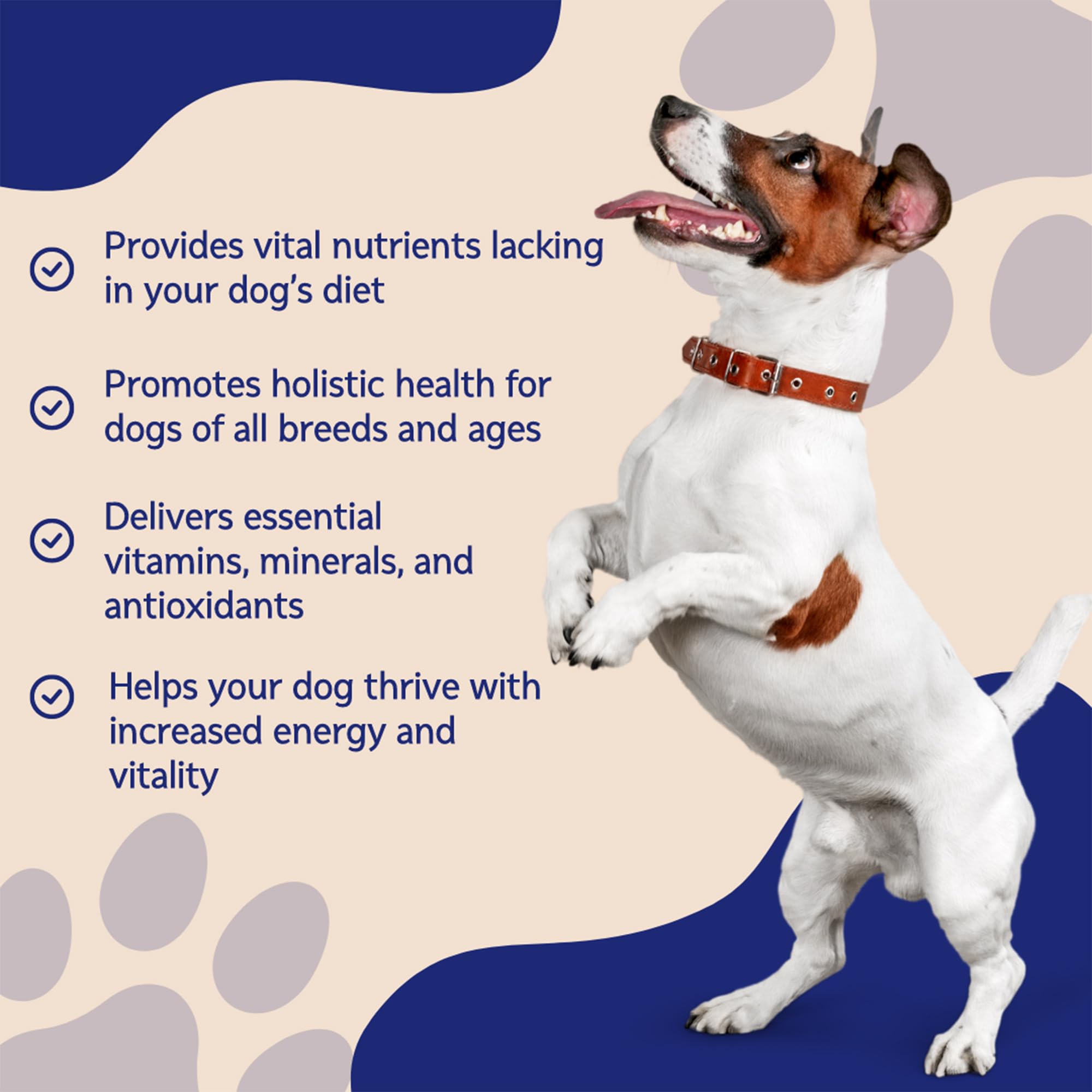 Smell of Nature Multi Dog Supplement Chews with Probiotics, Mushroom Extract & Turmeric - Soft Chewable Supplement for Overall Health & Wellness - Made with Superfoods - 60 Chews