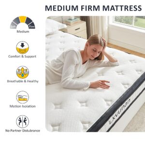 Lxvunan Twin Mattress, 10 Inch Mixed Mattress, Individually Packaged Bag Spring Mattress, Breathable and Comfortable, Pressure Relief, Containing Gel Memory Foam, Suitable for Various Bedsteads