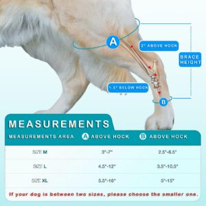 PaaWings 2024 Dog Leg Braces Dog Knee Brace for Back Leg- Dog Hip Brace for Torn Acl and Joint Relief -Dog Leg Sleeve - Dog Back Leg Support and Joint Supplement Black (XL)