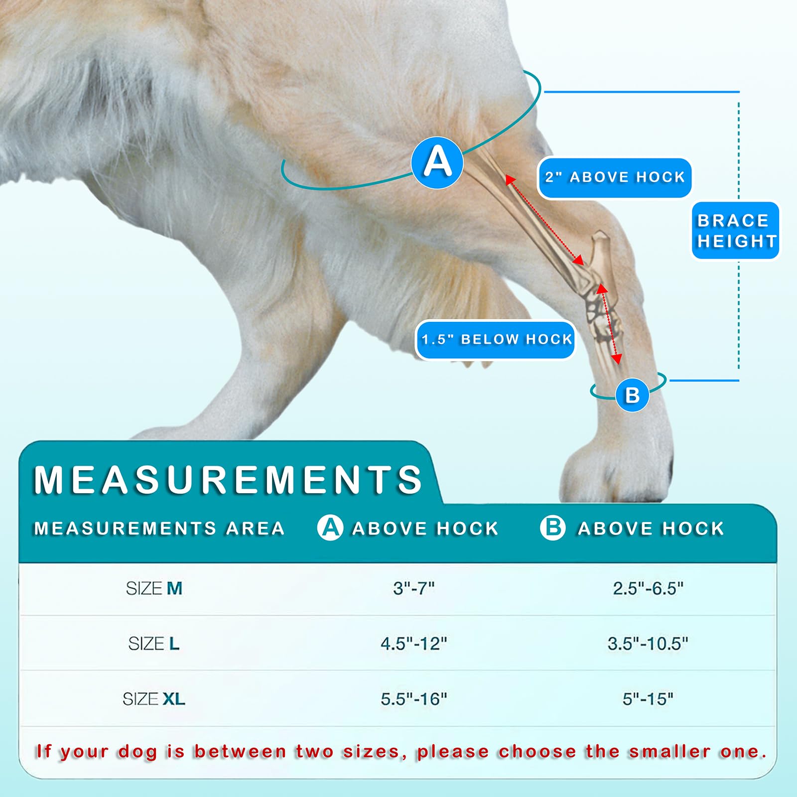 PaaWings 2024 Dog Leg Braces Dog Knee Brace for Back Leg- Dog Hip Brace for Torn Acl and Joint Relief -Dog Leg Sleeve - Dog Back Leg Support and Joint Supplement Black (XL)