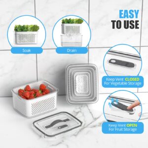 damynuo 10Pack Fruit Storage Containers for Fridge - Fridge Organizers and Storage with Vent and Handle Lids, Fruit Containers for Fridge with Colander, Refrigerator Organizers and Storage Keep Fresh