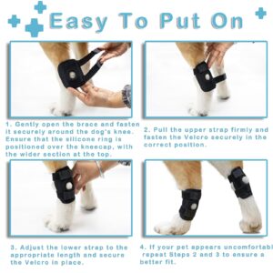 PaaWings 2024 Dog Leg Braces Dog Knee Brace for Back Leg- Dog Hip Brace for Torn Acl and Joint Relief -Dog Leg Sleeve - Dog Back Leg Support and Joint Supplement Black (L)