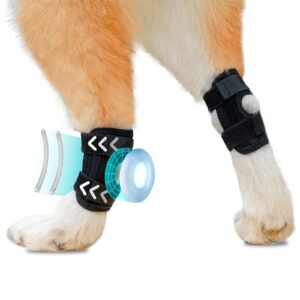 paawings 2024 dog leg braces dog knee brace for back leg- dog hip brace for torn acl and joint relief -dog leg sleeve - dog back leg support and joint supplement black (xl)